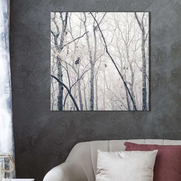 パネルアート Winters Gallery-CVS - 24x24インチ 壁26-正方形の木に葉なし- show original title