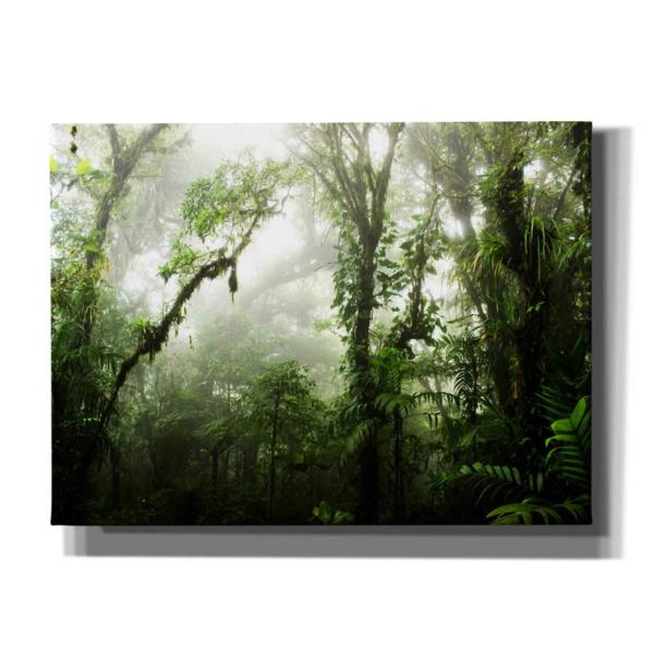 パネルアート Epic Graffiti 'Clodud Forest' by Nicklas Gustafsson キャンバス ウォールアート- show original title