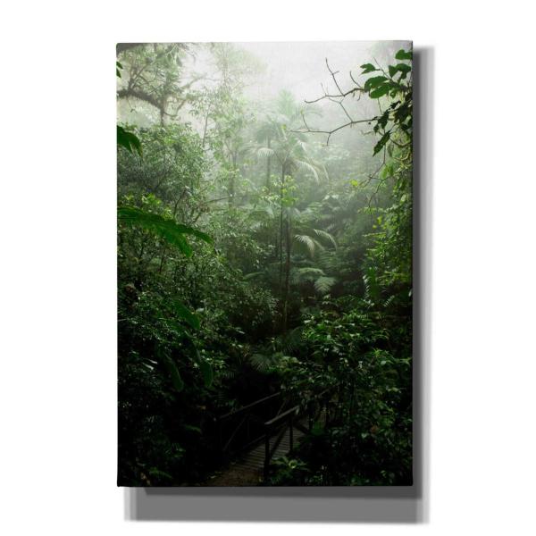 パネルアート Epic Graffiti 'Into The Cloud Forest' by Nicklas Gustafsson キャンバス ウォールアート- show original title