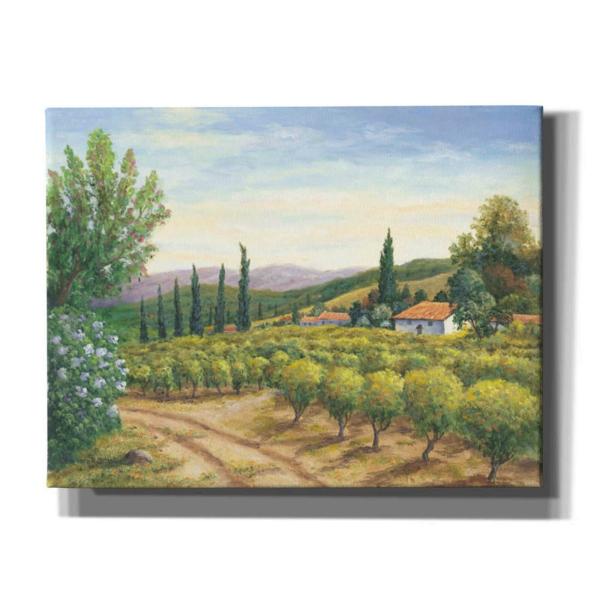 パネルアート Epic Graffiti 'Vineyard at Dusk' by Barbara Felisky, Giclee キャンバス ウォールアート- show original title