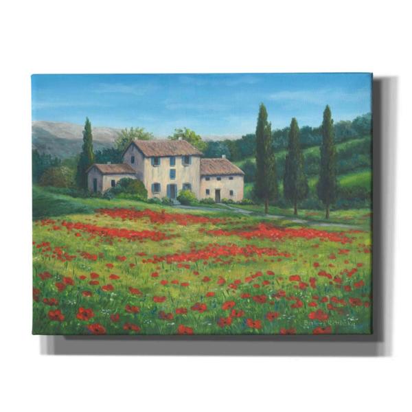 パネルアート Epic Graffiti 'Poppy Country' by Barbara Felisky, Giclee キャンバス ウォールアート- show original title