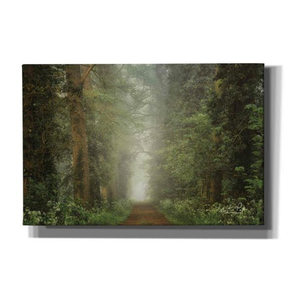 パネルアート Epic Graffiti 'Misty Spring Road' by Martin Podt, Giclee キャンバス ウォールアート- show original title