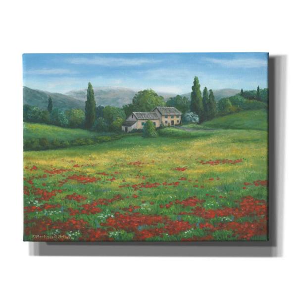 パネルアート Epic Graffiti 'Poppy Hillside' by Barbara Felisky, Giclee Canvas Wall Art