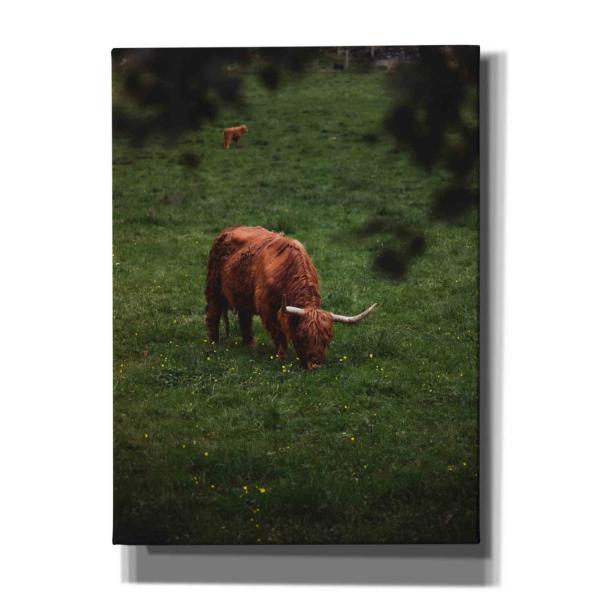 パネルアート Epic Graffiti 'Grazing Highlander' by Nicklas Gustafsson Canvas Wall Art