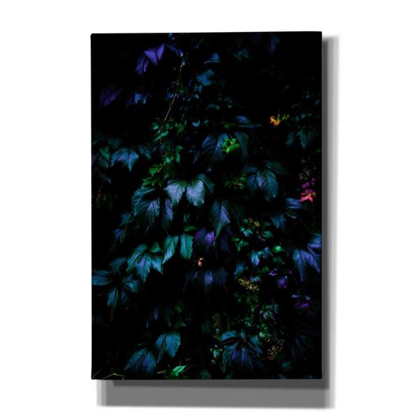 パネルアート Epic Graffiti 'Jungle' Nicklas Gustafsson キャンバスウォールアート- show original title