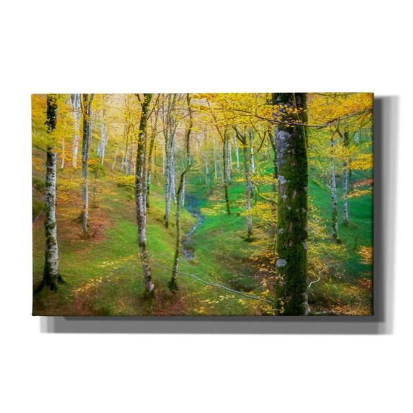 パネルアート Epic Graffiti 'Dream of Birches' by Lars van de Goor, Giclee キャンバス ウォールアート- show original title