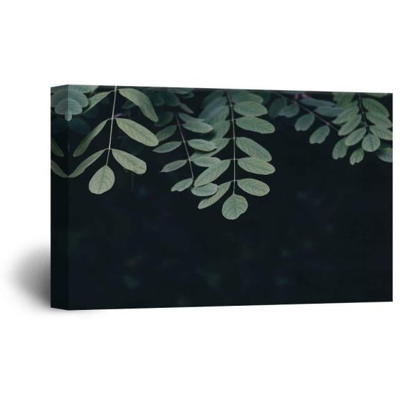 パネルアート Wall 26-Leaves with Black Background Gallery-CVS - 16 インチx 24 インチ- show original title