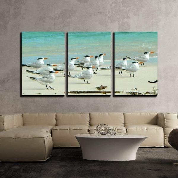 パネルアート Wall 26-Birds in the Beach in Los Roques-CVS - 24 インチx 36 インチx 3 パネル- show original title