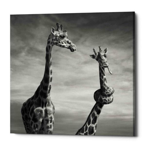 パネルアート Epic Graffiti "Twisted Sister" by Dariusz Klimczak, Giclee キャンバス ウォールアート- show original title