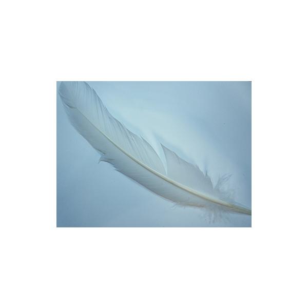 オーボエの管内水分を取り除く、掃除用はね