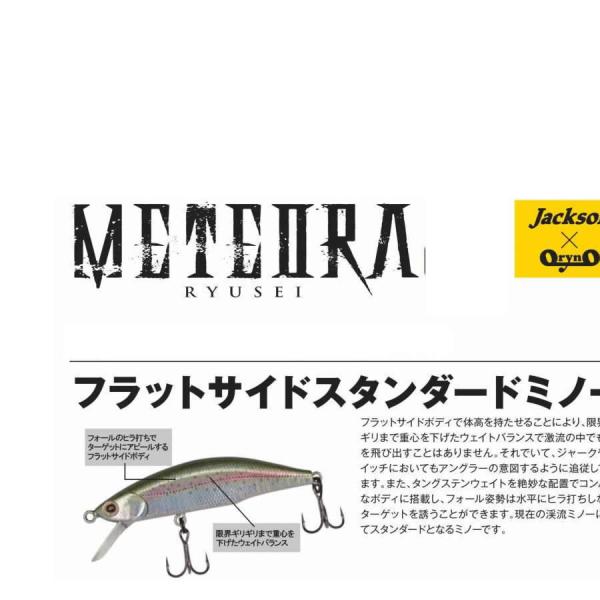 フラットサイドスタンダードミノーフラットサイドボディで体高を持たせることにより、限界ギリギリまで重心を下げたウェイトバランスで激流の中でも水中を飛び出すことはありません。それでいて、ジャークやトゥイッチにおいてもアングラーの意図するように追...