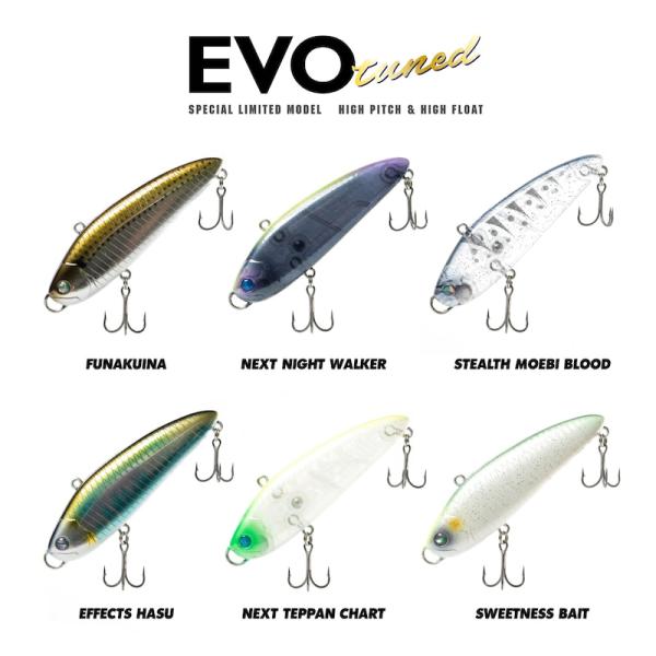 従来のシリーズ中、最浅い水深を攻略する事に長けた別注モデル。ハイピッチ化された事により、リアクションの要素も大幅にプラス。仕掛けていけるロッドワークやリリーングにも可能性が広がり、今まで獲りにくかった魚をレンジ、季節、状況、フィールドタイプ...