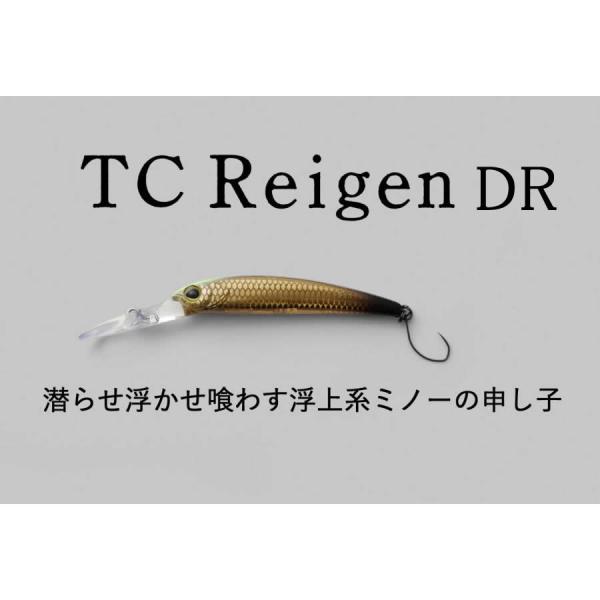 魚を魅了するサウンドTCレイゲンの特徴の一つとして、サウンドがあります。このサウンドはウエイトホールのウエイトを固定しないことによりラトルの役割を果たします。巻いてる時や浮上時に僅かに鳴るサウンドで活性の高い魚に口を使わせます。強すぎず弱す...