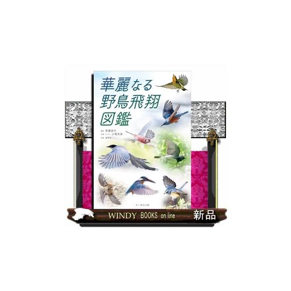 史上初！掲載種すべてが飛翔写真の野鳥図鑑。飛んでいるようすを観察しやすい水鳥やワシタカ類はもちろん、目にも留まらない速さで飛ぶ小鳥たちの飛翔写真を多数掲載。掲載している１６１種の鳥たちすべての、翼を広げた華麗であざやかな姿を楽しめます。解説...