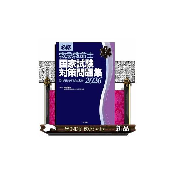 Ａ問題（専門基礎分野；専門分野）Ｂ問題（人体の構造と機能；疾患の成り立ちと回復の過程　ほか）Ｃ問題（救急医学概論；救急症候・病態生理学　ほか）Ｄ問題（救急医学概論；救急症候・病態生理学　ほか）