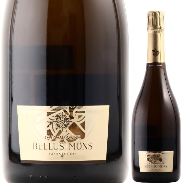 「ヴィルジル・ポルティエ」は、シャンパーニュの17のグラン・クリュ村のひとつ、ボーモン・シュル・ヴェルのぶどう栽培家ポルティエ家が、1924年に同村に設立したRMです。ボーモン・シュル・ヴェルとヴェルジーに半分ずつ、合計8.4ヘクタールのグ...