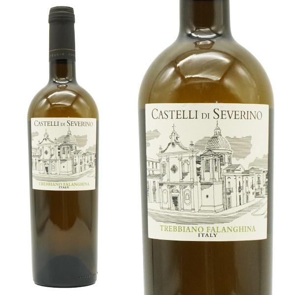 イタリアワインの中でも古い歴史を持つ、プーリア州フォッジャ近郊の町San Severoに位置する大人気ワイナリー「テアヌム」！トレッビアーノ種とファランギーナ種で造るフレッシュなブドウの美味しさをストレートに感じる花や黄色の果実を思わせる心...