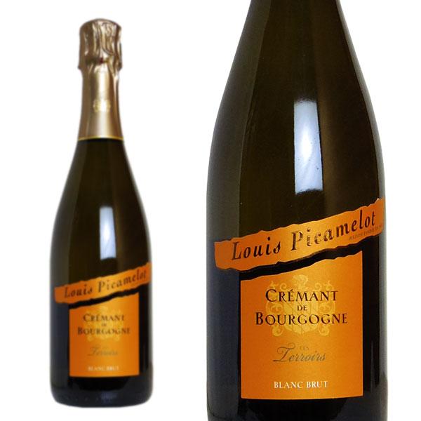 ワイン評価本“レ・メイユール・ヴァン・ア・プティ・プリ2009年版”で最高得点となる15.5点！各ワインコンテストで2008年、2009年、2010年と連続金賞受賞！造り手は、ブルゴーニュ地方リュリー所在のクレマンを専門とする生産者ルイ・ピ...