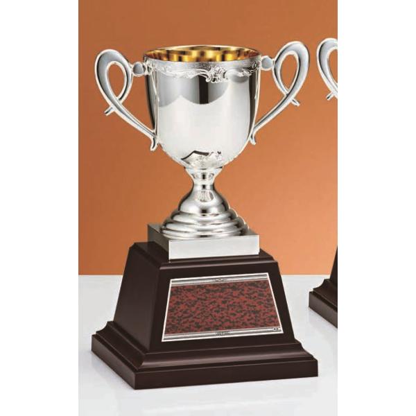 ３５％ＯＦＦ！プレート彫刻無料！当社ではトロフィー、優勝カップ、楯(盾)、メダル等の記念品を販売をしております。 ゴルフコンペ、各種トーナメント、大会の表彰にどうぞ。【お急ぎの方へ】最短到着予定より早く到着希望の方はご相談ください。出来る限...