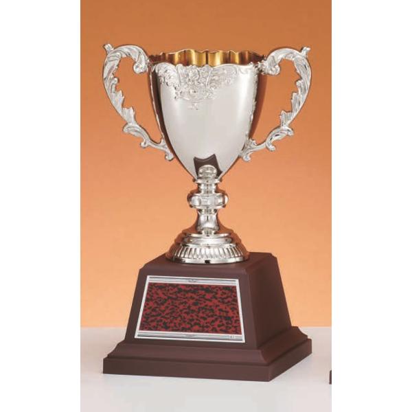 ３５％ＯＦＦ！プレート彫刻無料！当社ではトロフィー、優勝カップ、楯(盾)、メダル等の記念品を販売をしております。 ゴルフコンペ、各種トーナメント、大会の表彰にどうぞ。【お急ぎの方へ】最短到着予定より早く到着希望の方はご相談ください。出来る限...