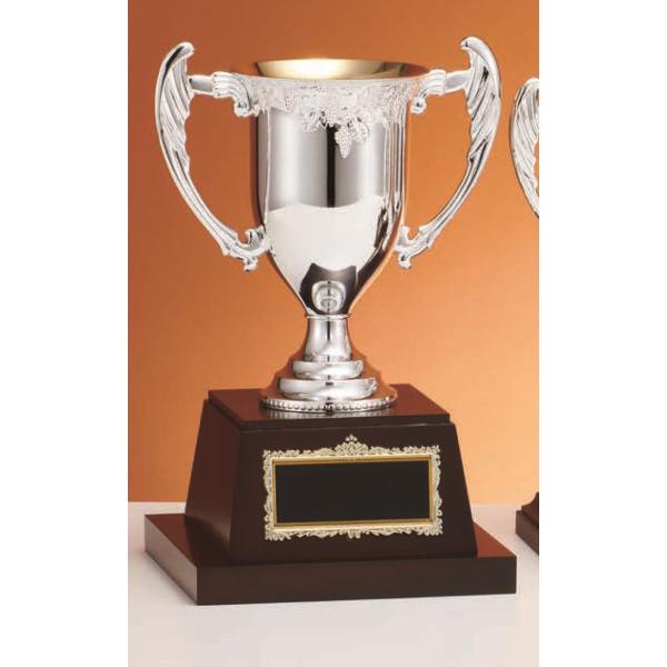 ３５％ＯＦＦ！プレート彫刻無料！当社ではトロフィー、優勝カップ、楯(盾)、メダル等の記念品を販売をしております。 ゴルフコンペ、各種トーナメント、大会の表彰にどうぞ。【お急ぎの方へ】最短到着予定より早く到着希望の方はご相談ください。出来る限...