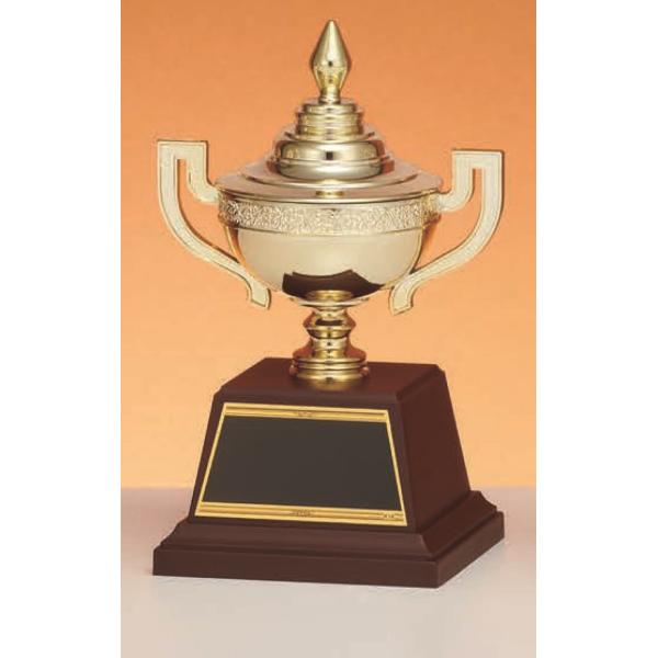 ３５％ＯＦＦ！プレート彫刻無料！当社ではトロフィー、優勝カップ、楯(盾)、メダル等の記念品を販売をしております。 ゴルフコンペ、各種トーナメント、大会の表彰にどうぞ。【お急ぎの方へ】最短到着予定より早く到着希望の方はご相談ください。出来る限...