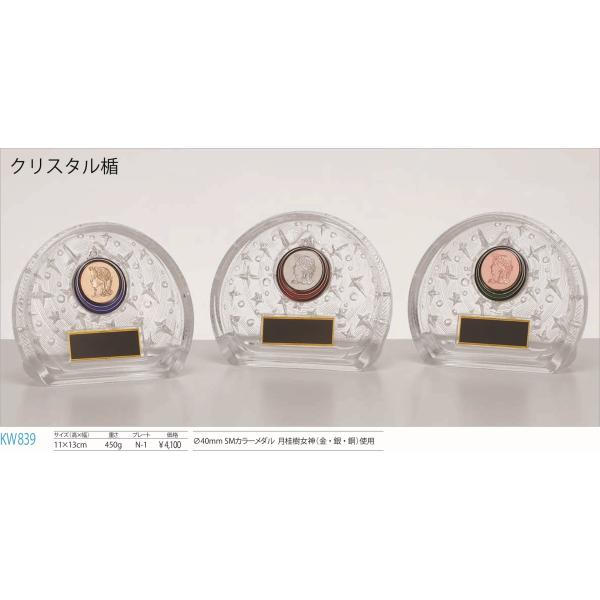３５％ＯＦＦ！プレート彫刻無料！当社ではトロフィー、優勝カップ、楯(盾)、メダル等の記念品を販売をしております。 ゴルフコンペ、各種トーナメント、大会の表彰にどうぞ。【お急ぎの方へ】最短到着予定より早く到着希望の方はご相談ください。出来る限...