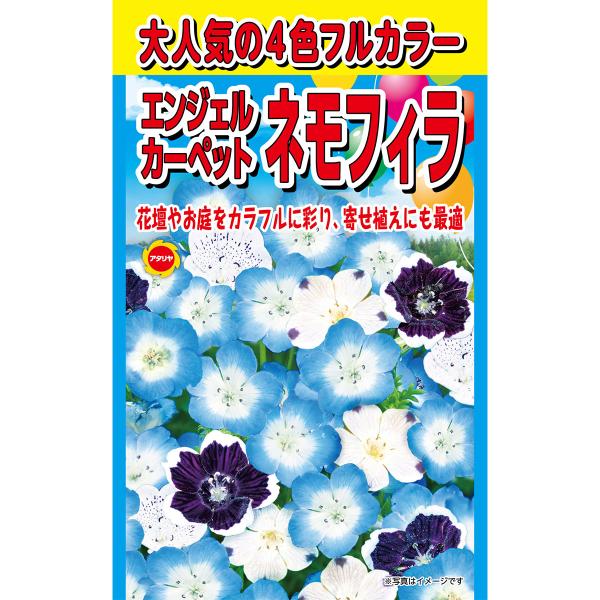 ※こちらは種子になります※在庫不足の場合メーカーより取り寄せになります。※メーカー欠品の場合、勝手ながらご注文をキャンセルまたは数量を変更させていただきます。花壇やお庭をカラフルに彩り、寄せ植えいも最適春の庭で爽やかに明るく咲くかわいい花。...