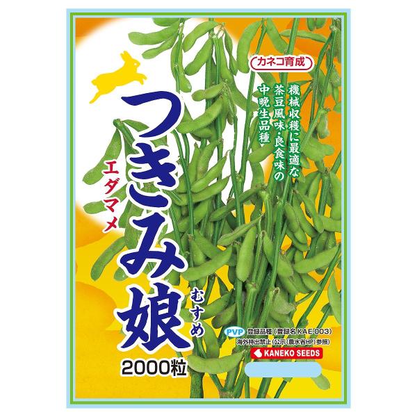 ※こちらは種子になります※メーカーより直送品となります。メーカー発注の際に欠品、今季終了の場合、出荷の遅れまたご注文の方をキャンセルさせていただく場合がございます。第四種便での発送のためお問い合わせ番号がなく追跡不可となります。商品はポスト...