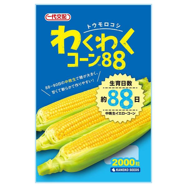 ※こちらは種子になります※メーカーより直送品となります。メーカー発注の際に欠品、今季終了の場合、出荷の遅れまたご注文の方をキャンセルさせていただく場合がございます。第四種便での発送のためお問い合わせ番号がなく追跡不可となります。商品はポスト...