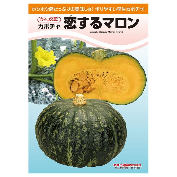 ※こちらは種子になります※メーカーより直送品となります。メーカー発注の際に欠品、今季終了の場合、出荷の遅れまたご注文の方をキャンセルさせていただく場合がございます。第四種便での発送のためお問い合わせ番号がなく追跡不可となります。商品はポスト...