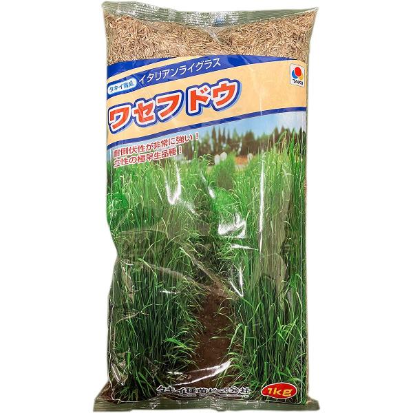 ※メーカーより直送品となります。当店から出荷される商品と一緒に購入された場合別途送料が発生致しますご了承ください。有効期限最低3カ月以上の商品を発送させていただきます。それ以下の期限になる場合、当店よりメールまたはお電話にてご連絡させていた...