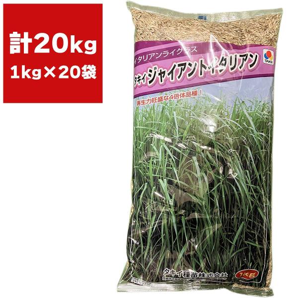 ※メーカーより直送品となります。当店から出荷される商品と一緒に購入された場合別途送料が発生致しますご了承ください。有効期限最低3カ月以上の商品を発送させていただきます。それ以下の期限になる場合、当店よりメールまたはお電話にてご連絡させていた...