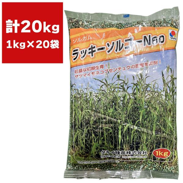 ※メーカーより直送品となります。当店から出荷される商品と一緒に購入された場合別途送料が発生致しますご了承ください。有効期限最低3カ月以上の商品を発送させていただきます。それ以下の期限になる場合、当店よりメールまたはお電話にてご連絡させていた...