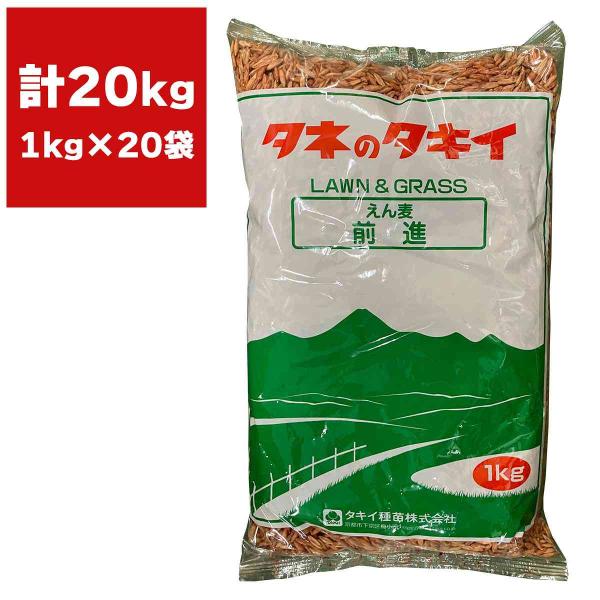 ※メーカーより直送品となります。当店から出荷される商品と一緒に購入された場合別途送料が発生致しますご了承ください。有効期限最低3カ月以上の商品を発送させていただきます。それ以下の期限になる場合、当店よりメールまたはお電話にてご連絡させていた...