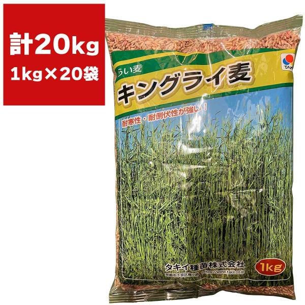 ※メーカーより直送品となります。当店から出荷される商品と一緒に購入された場合別途送料が発生致しますご了承ください。有効期限最低3カ月以上の商品を発送させていただきます。それ以下の期限になる場合、当店よりメールまたはお電話にてご連絡させていた...
