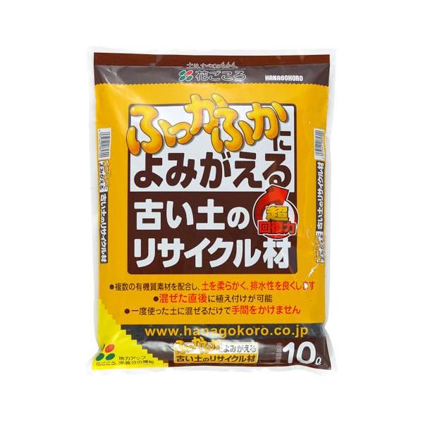 【ご購入後の当店からの連絡はご登録のメールアドレスに通知いたします。必ずご確認ください】