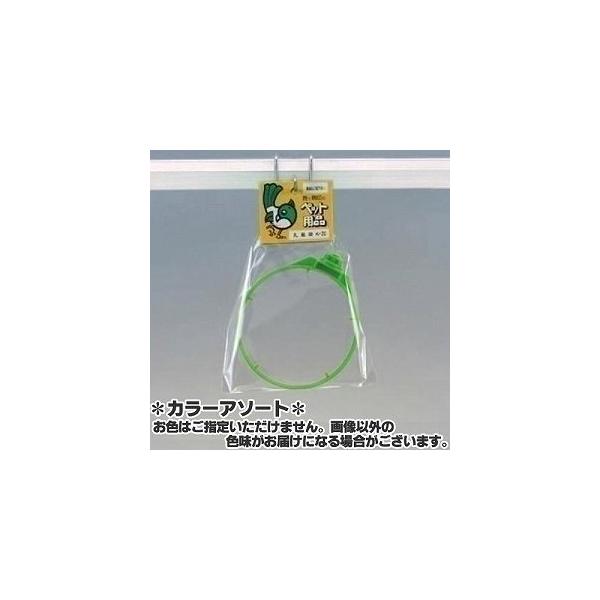 【ご購入後の当店からの連絡はご登録のメールアドレスに通知いたします。必ずご確認ください】