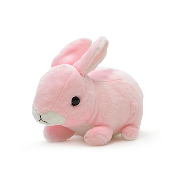 【ご購入後の当店からの連絡はご登録のメールアドレスに通知いたします。必ずご確認ください】