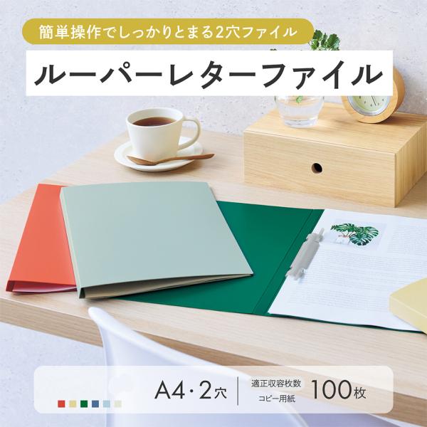 ■整理がスムーズな2穴ファイル・ポリプロピレン製のうすいとじ具を使用した2穴ファイルです。・裏面に折り目があるため、大きく開いてスムーズに閲覧ができます。■縦300×横221×背幅15mm※最大収容枚数：コピー用紙100枚■生産地：ベトナム...