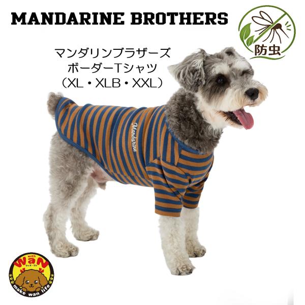 BORDER T-SHIRTボーダーTシャツ一枚着でもサマになるボーダー柄で差をつける春・秋・冬のロングシーズン着回せる長袖Tシャツヴィンテージライクなボーダーで、毎日のお散歩をもっとおしゃれに・防虫加工・刺繍ロゴ・レトロな配色・伸縮性あり...