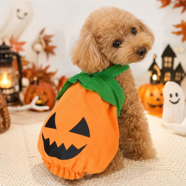 ハロウィーンコスチュームかぼちゃパンツハロウィンシーズンに最適な、かぼちゃをモチーフにした愛犬用の可愛らしいコスチューム★サイズ（実寸）S：バスト43CM　背長さ31CMM：バスト48CM　背長さ35CMＬ：バスト53CM　背長さ40CMX...