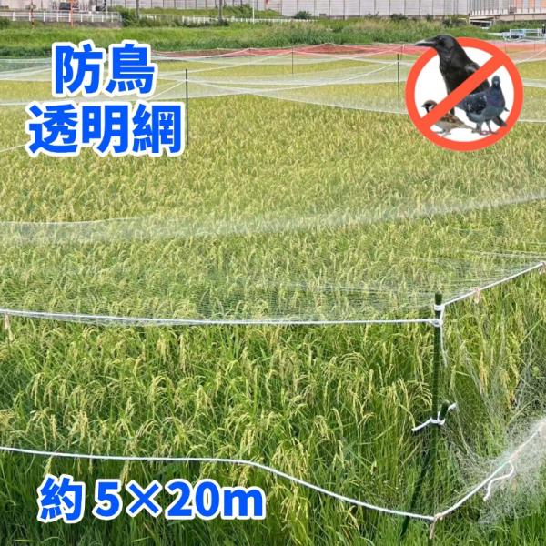ベランダ鳥よけネット 防鳥ネット 防鳥網 5×20m 取り付けインシュロック付属 カラス避け 鳩避け 鳥避け 猫脱走防止 野良猫侵入防止 テグス糸網 透明ネット 頑丈 耐久性 ベランダ 庭 菜園 果樹園 農園 広範囲 使用可能