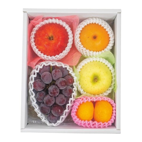 旬を味わうフルーツ詰め合わせ