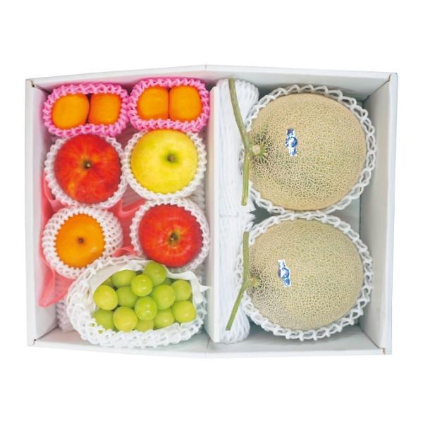 旬を味わうフルーツ詰め合わせ