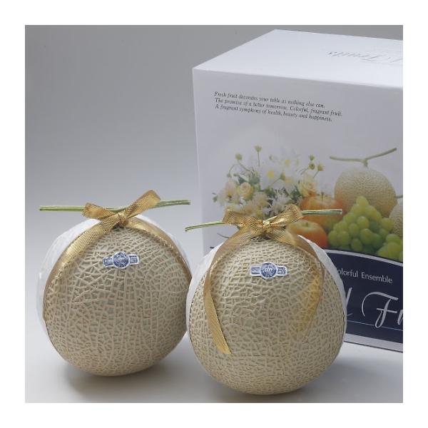 静岡産マスクメロン（2玉） YO-1307 [産直品]