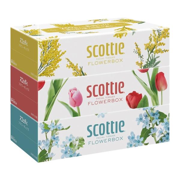 スコッティ ティシュー フラワーボックス 250組（3箱パック） 41364