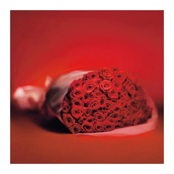 バラの花束 21本から100本までのお申し込み レッド 19RD21-100