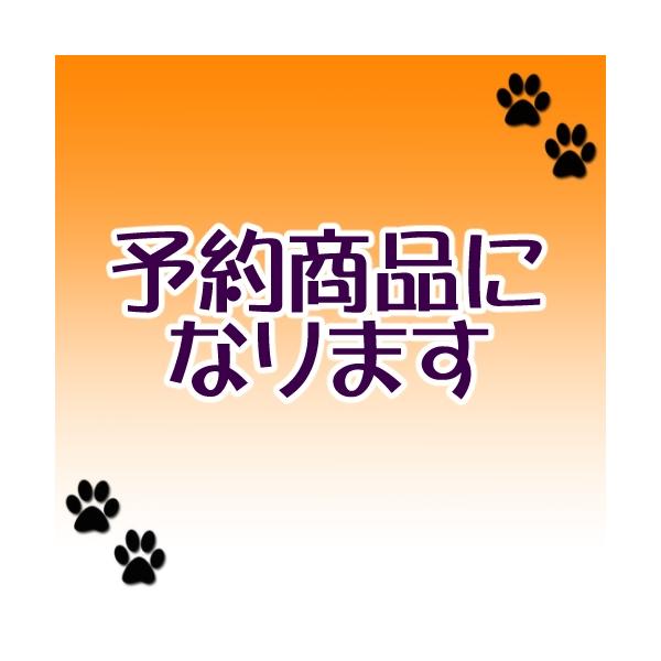 【発売日：2026年08月01日】※※ご予約の諸注意※※・入荷時期の変動が激しいため、一律下旬発売に設定しております。入荷後は速やかに発送致します。・メーカーの都合により発売予定の変更や発売中止、ラインナップが変更になることがございます。・...