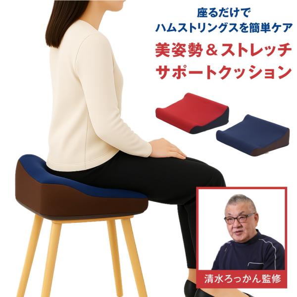 ろっかん式 ストレッチクッション骨格矯正界のゴッドハンド清水ろっかん 監修美姿勢＆ストレッチ サポートクッション座るだけでハムストリングスを簡単ケア清水ろっかん式 エルゴノミクス座るだけ、自然に正しい美姿勢に。・11°の傾斜角研究で辿り着い...